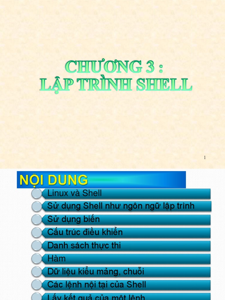 Chuong 3 - Lap Trinh Shell | PDF