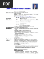 FORMATO MODELO EJEMPLO DE RESUMEN CURRICULAR PARA RELLENARLO