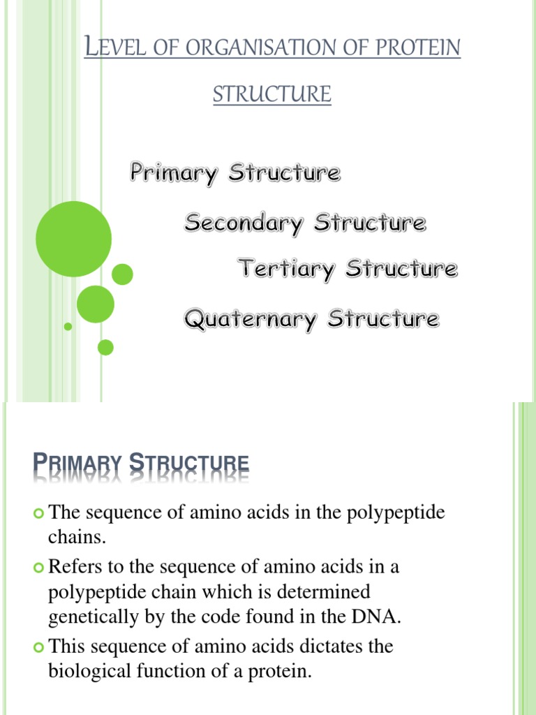 Level of Organisation of Protein Structure | PDF | Denaturation ...
