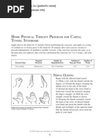 Wrist Isometric Exercise Program | PDF | Anatomical Terms Of Motion | Hand