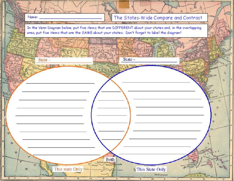 Stanley Compare Contrast | PDF