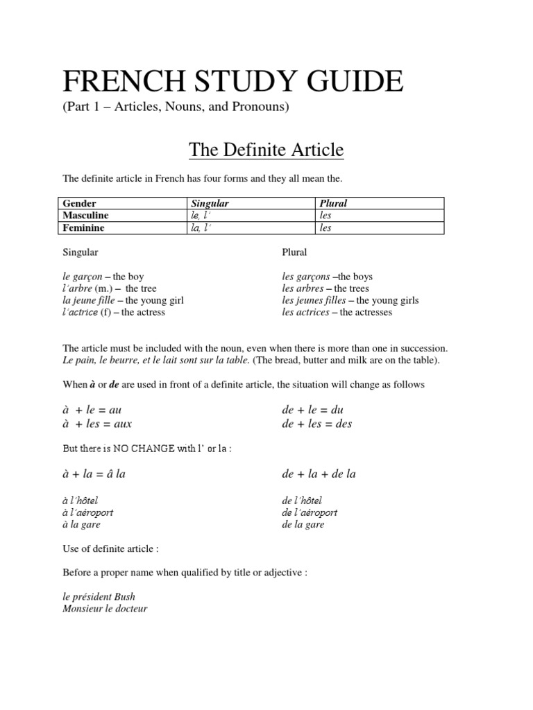 Big French Study Guide | PDF | Grammatical Gender | Pronoun