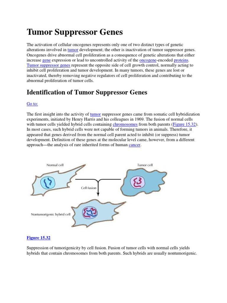 Tumor Suppressor Genes