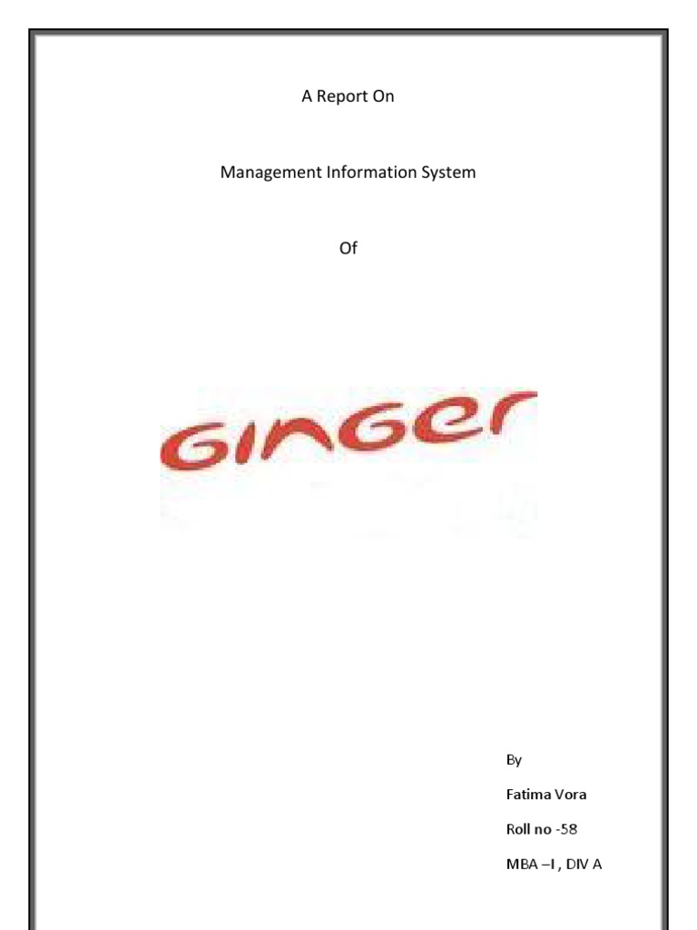 Mis Assignment Pdf Management Information System Information System 