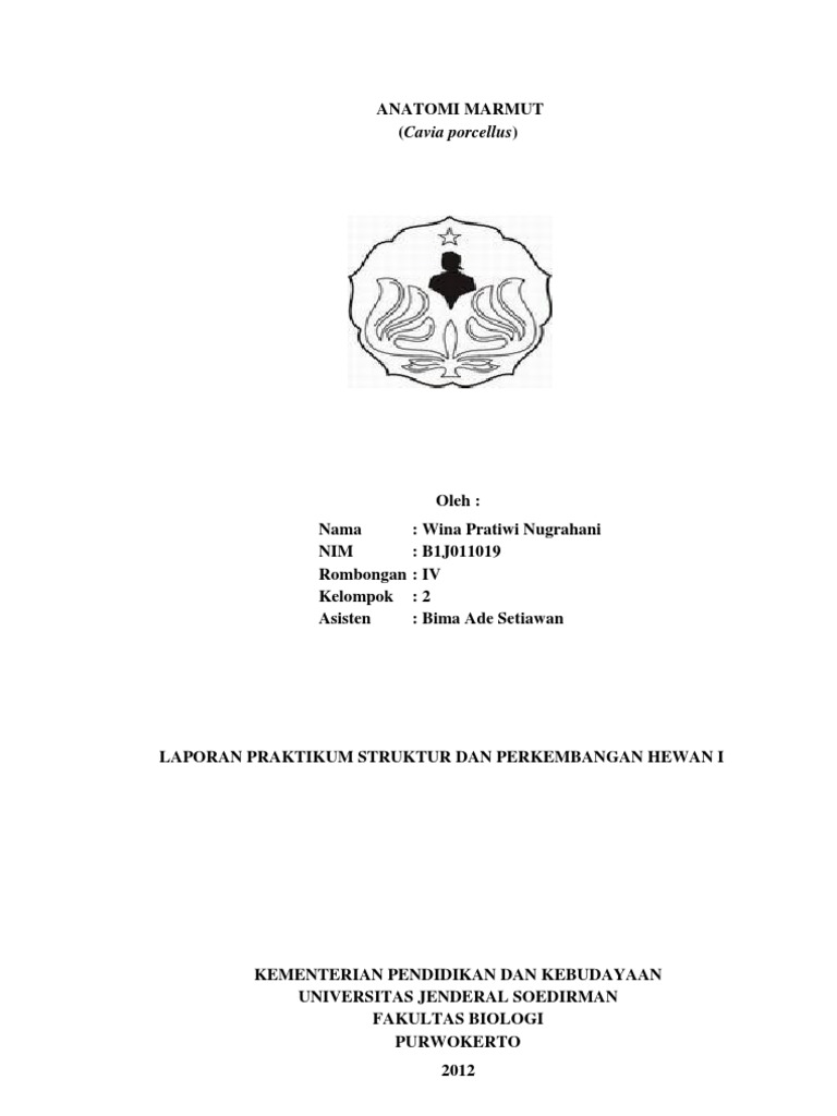 Morfologi dan Anatomi Marmut Cavia Porcellus | PDF | Sains & Matematika