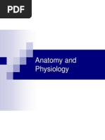 Triadan Tooth Numbering System | PDF