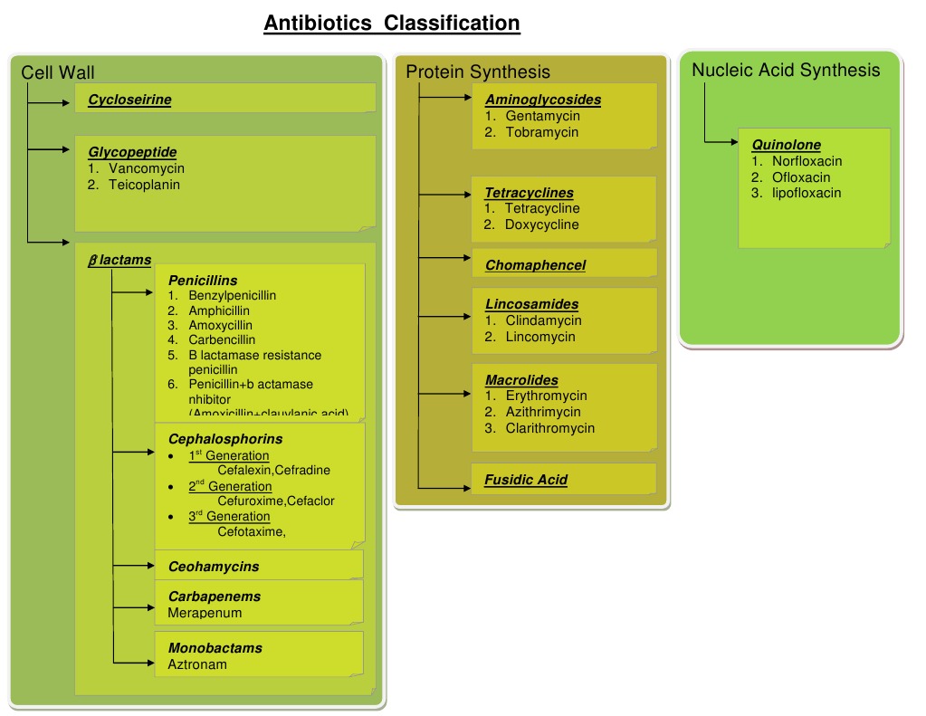 Antibiotic Families Classification