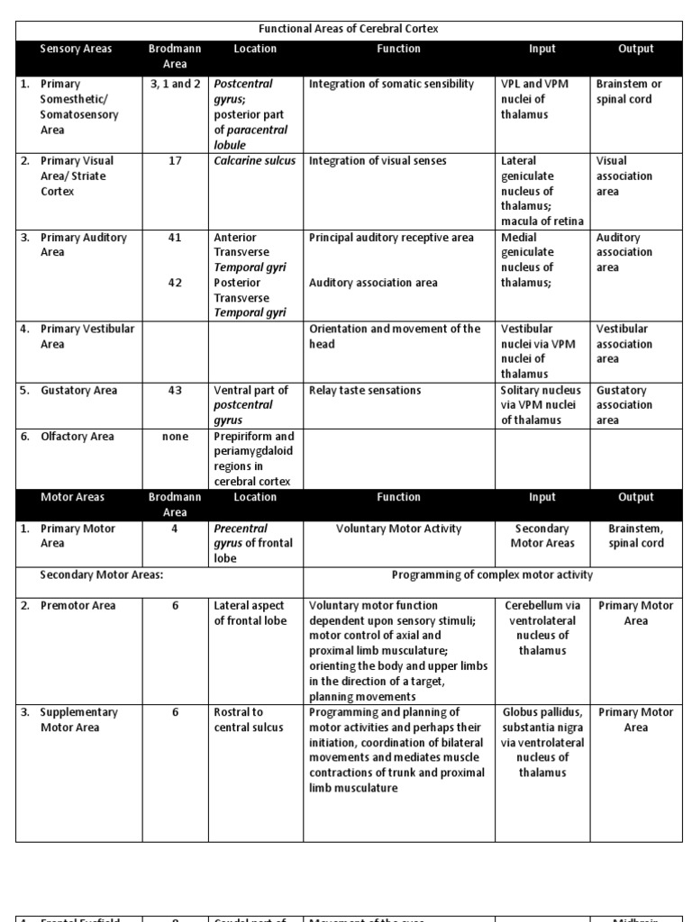 Functional Areas of Cerebral Cortex | PDF | Cerebral Cortex | Auditory ...