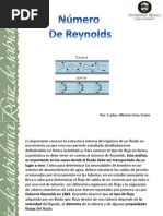 El Numero de Reynolds.pdf | Numero Reynolds | Flujo laminar | Prueba gratuita de 30 días | Scribd