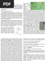 Diagrama de Posselt | PDF | Estudios de idiomas extranjeros | Métodos y ...