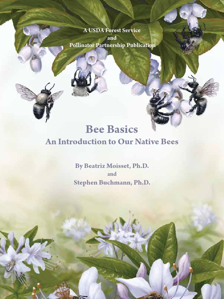 Bee Basics: An Introduction To Our Native Bees | PDF | Bumblebee | Bees