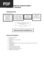 Concept Map Acute Pain | PDF | Pain | Health Sciences