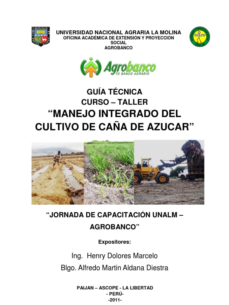 Manejo Integrado Del Cultivo de Cana de Azucar | PDF | Fertilizante | Agricultura