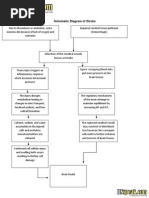 Stroke Pathophysiology | Stroke | Ischemia