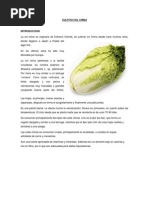 Suelos Humíferos - Características, Tipos y Animales - Lifeder PDF ...