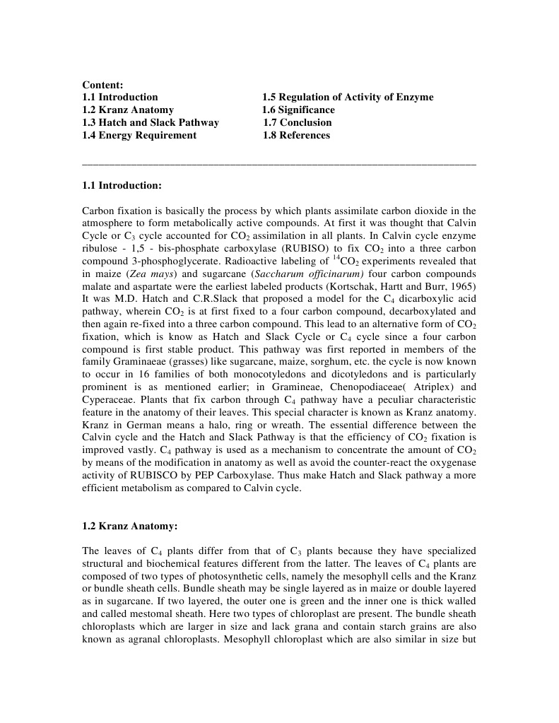 Hatch and Slack Pathway | PDF | Photosynthesis | Chloroplast