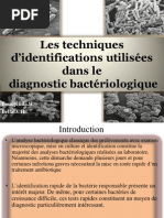 Examen de coproculture des selles | PDF | Salmonelle | Bactérie