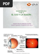 Neuroanatomía de La Mirada Conjugada | PDF | Cerebelo | Ciencia cognitiva