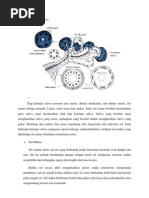 Sinaps: Jenis, Fungsi, dan Mekanisme | PDF