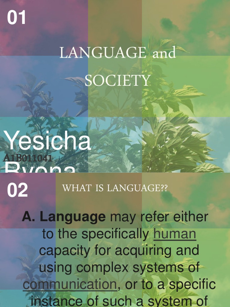 Chapter 1 - Language & Society | PDF | Sociolinguistics | Linguistics