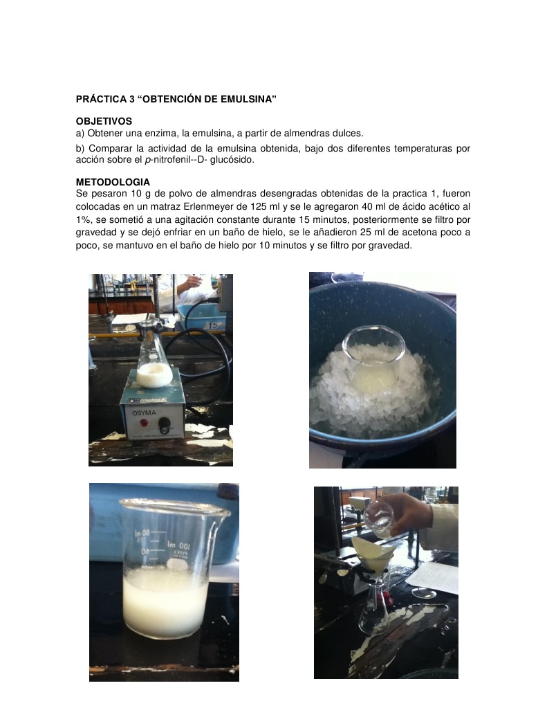 Practica 3 Organica | PDF | Enzima | Digestión