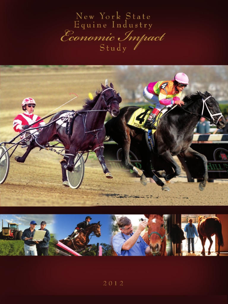 Equine Study | PDF | Horse Racing | Horses