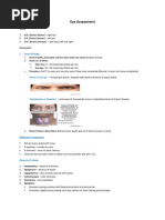 Eye Assessment Performance Checklist | PDF | Human Eye | Visual Acuity