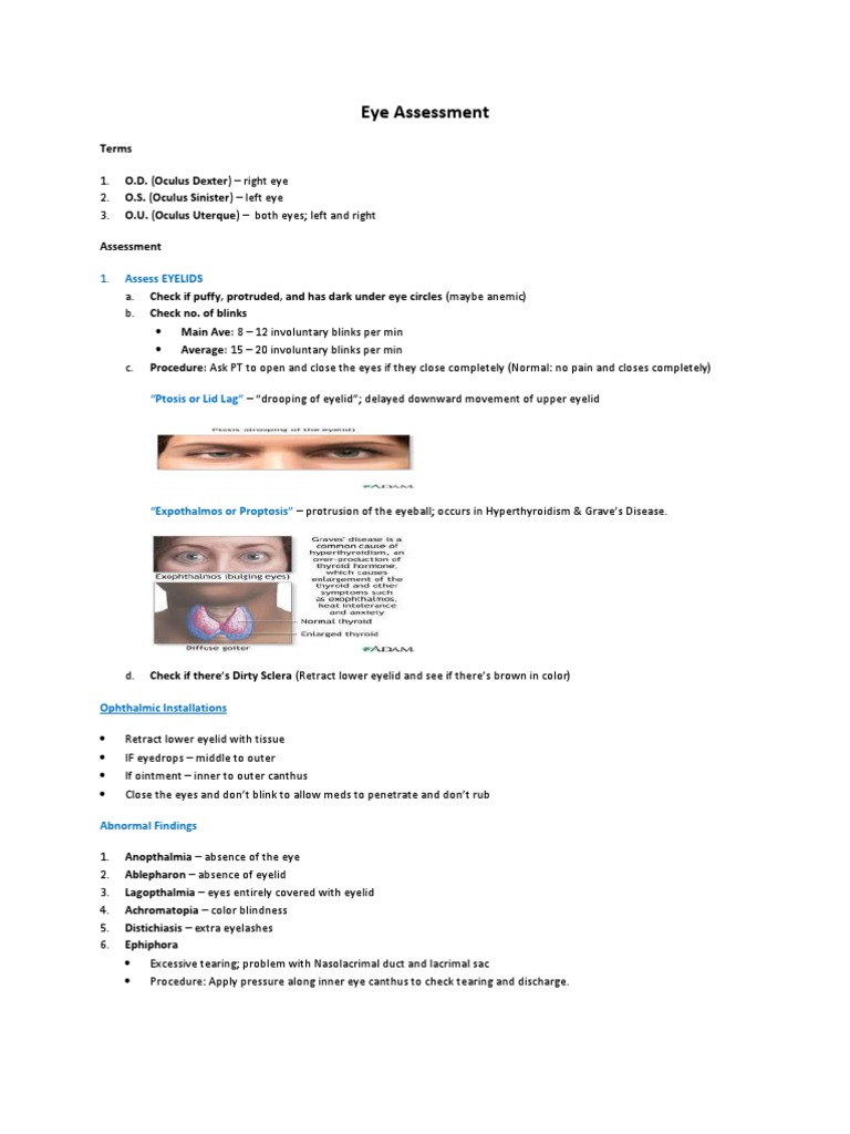 Eye Assessment | PDF | Visual Acuity | Human Eye