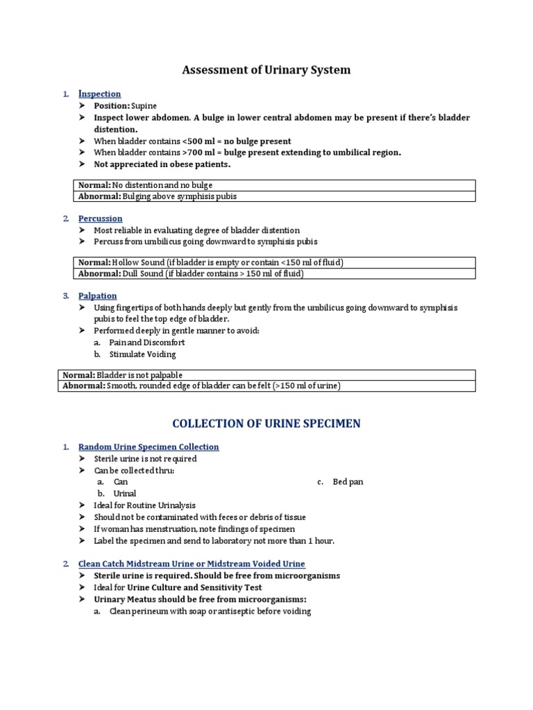Urinary System Assessment Guide | PDF | Urine | Urinary Bladder