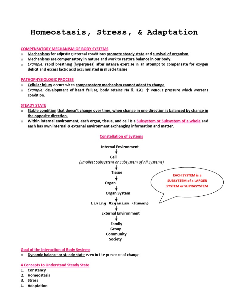 Homeostasis Stress Adaptation | PDF