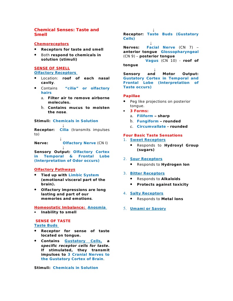 Taste and Smell | PDF