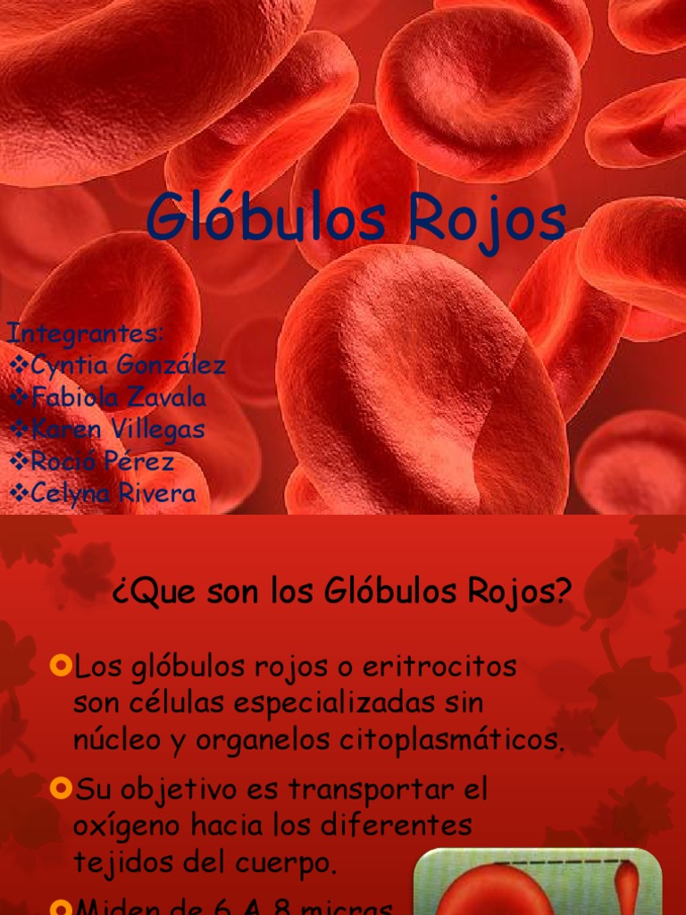 Globulos Rojos | Glóbulo rojo | Sangre