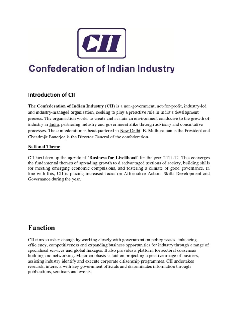 Introduction of CII: Function | PDF | Business | Government