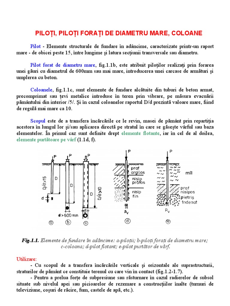 Piloti Si Chesoane | PDF