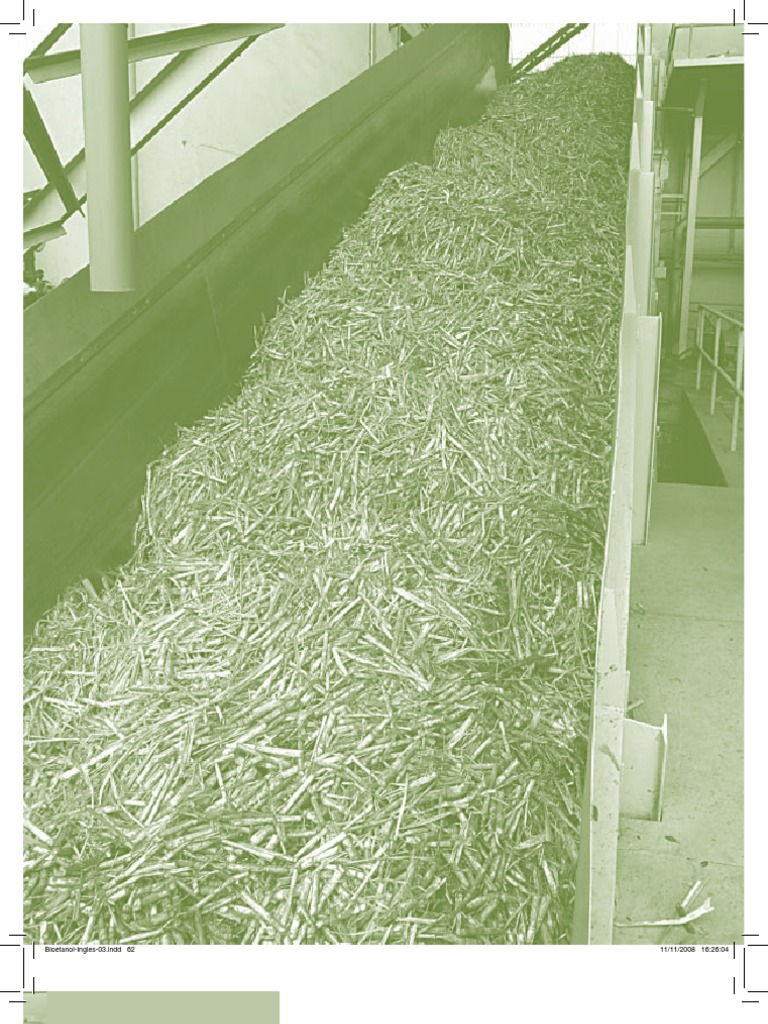 Bioethanol Production | PDF | Biofuel | Sugarcane