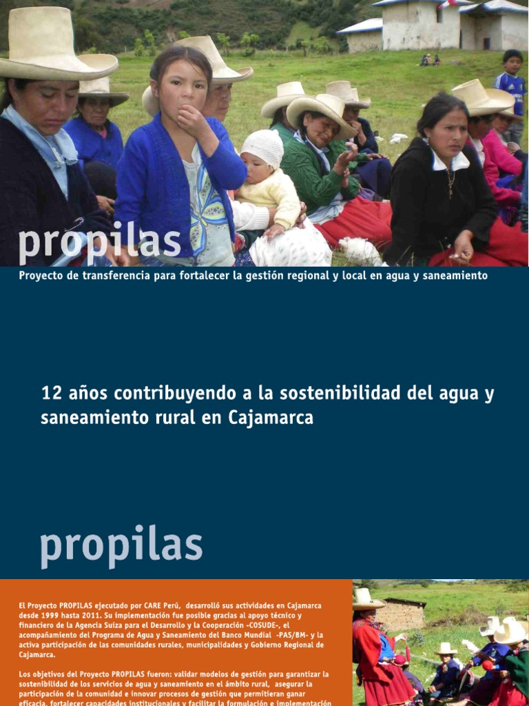 Propilas: Proyecto de Transferencia para Fortalecer La Gestión Regional ...