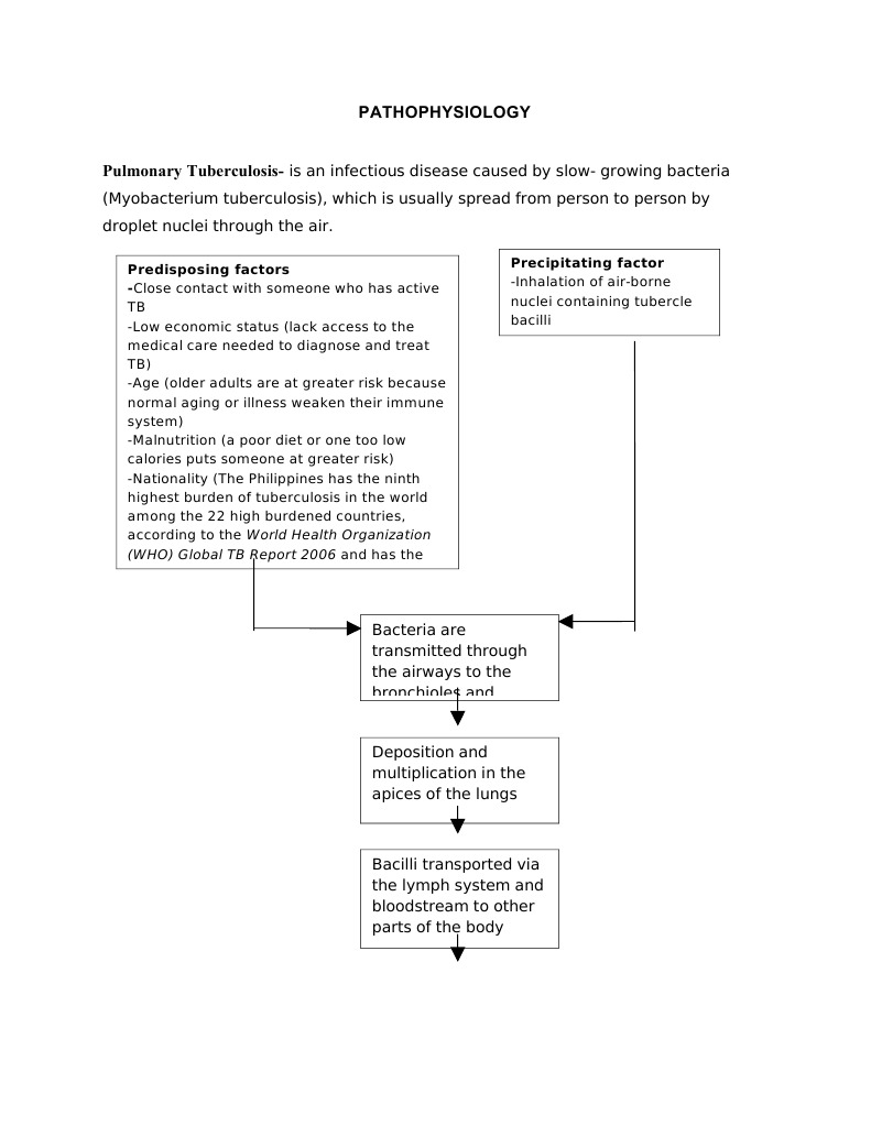 Understanding Pulmonary Tuberculosis | PDF