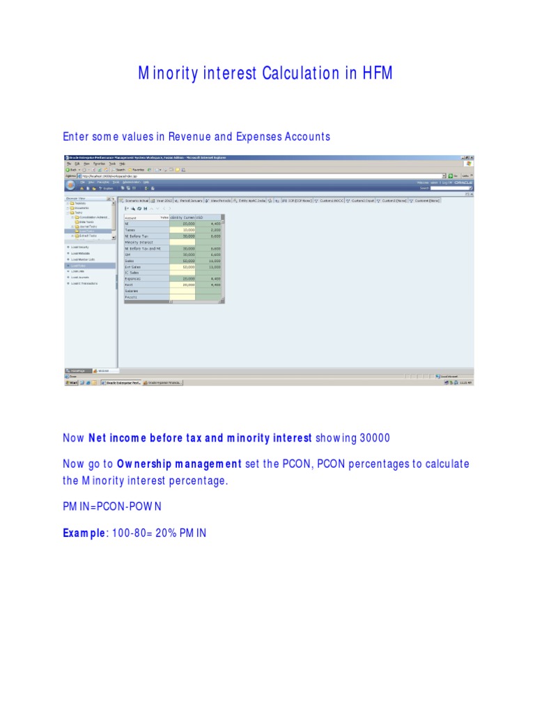 Calculating Minority Interest in HFM | PDF | Finance & Money Management