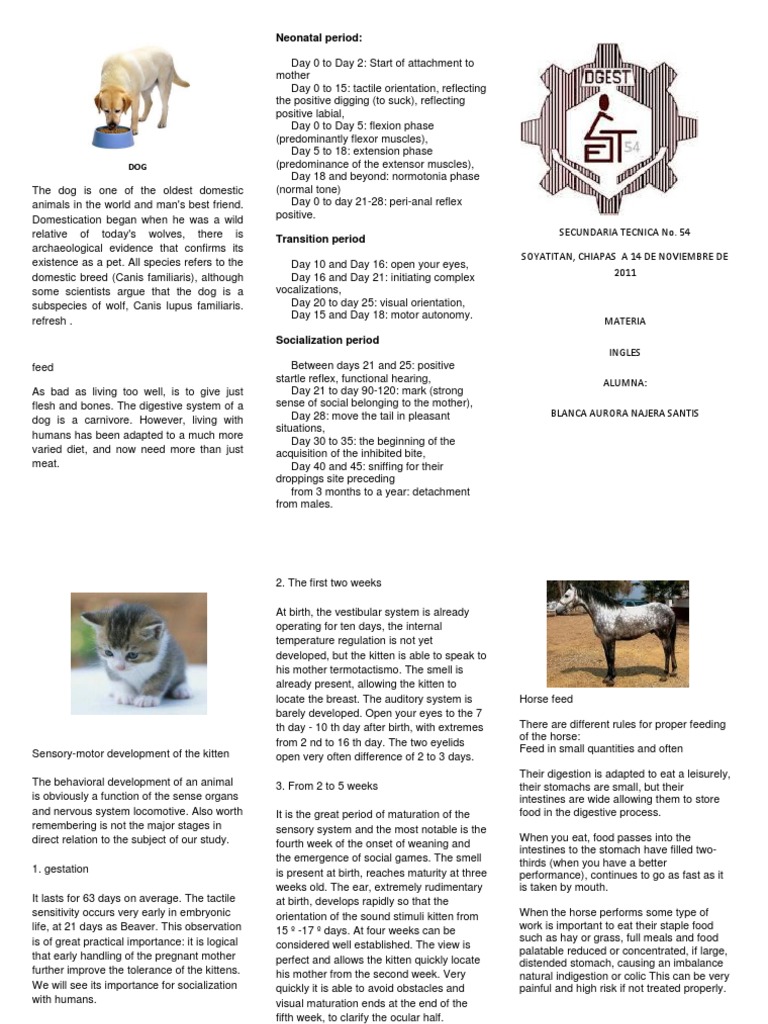 Neonatal Period | PDF | Canis | Dogs