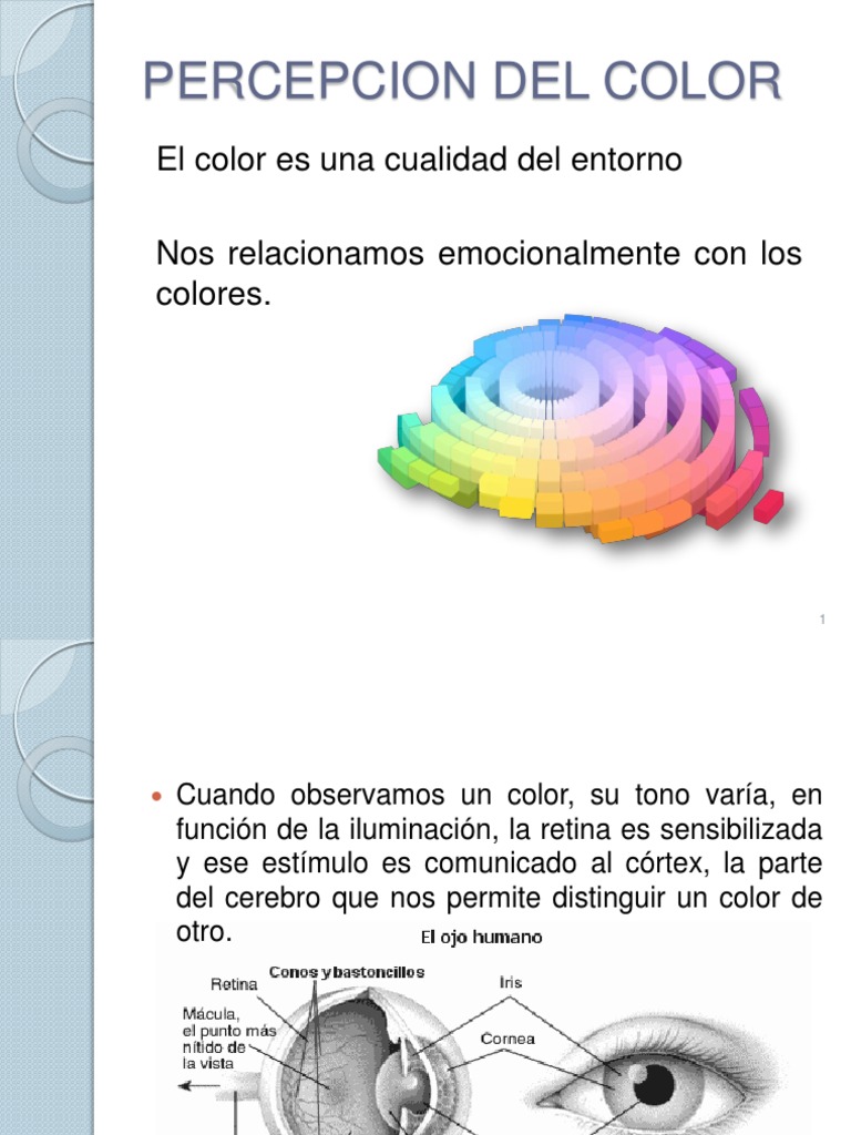 Percepcion Del Color | PDF | Visión | Color