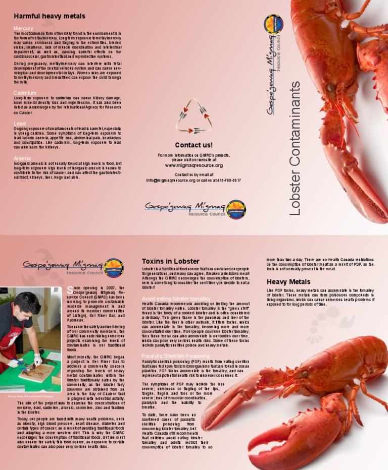 Lobster Contaminants Brochure | PDF | Medical Specialties | Clinical ...