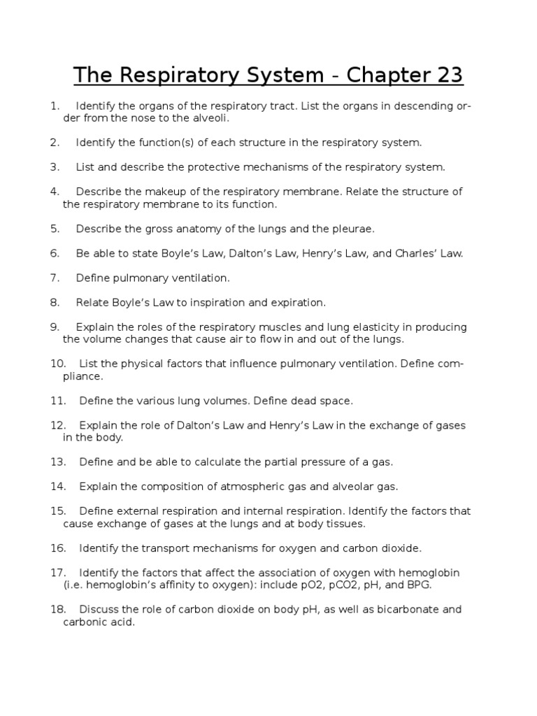 Chapter 23 Respiratory System - Study Guide | PDF | Respiratory System ...