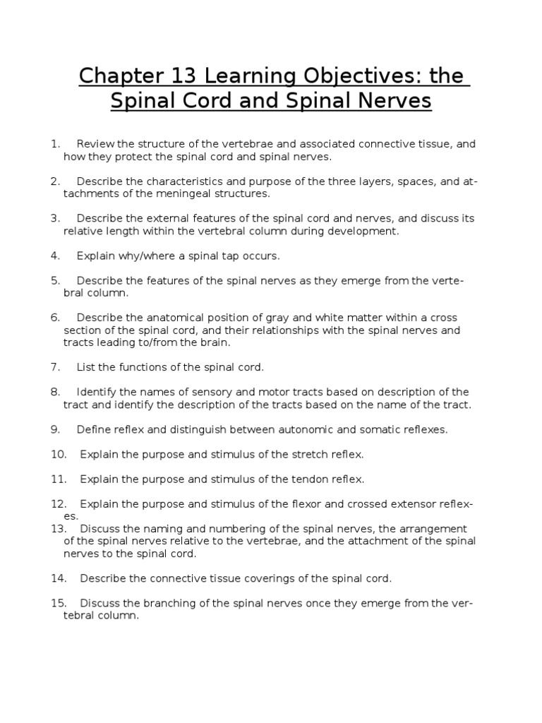 Chapter 13 Learning Objectives - Spinal Cord and Spinal Nerves | PDF | Vertebral Column | Spinal ...