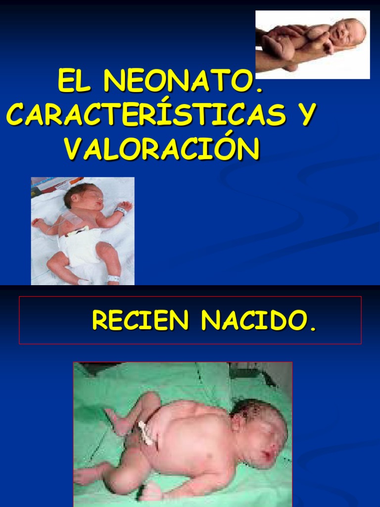 El Neonato, Características y Valoración | PDF | Infantes | Reproducción