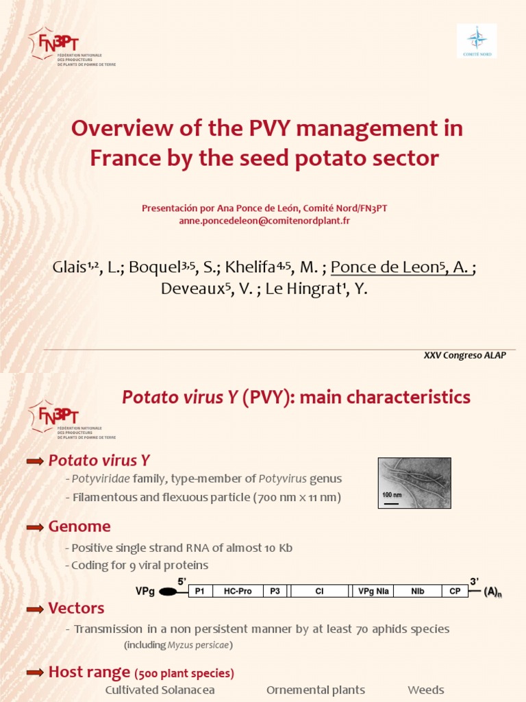 PVY Management in French Seed Potatoes | PDF | Monoclonal Antibody ...