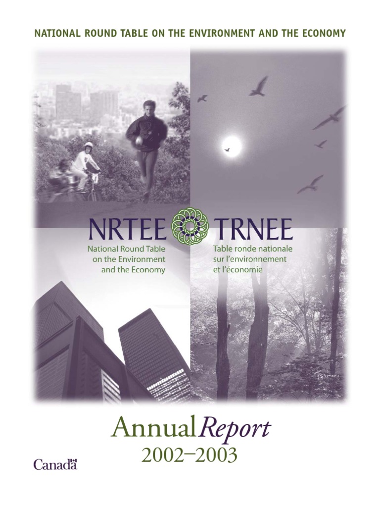 NRT Annual Report 2002-2003 | PDF | Audit | Financial Statement