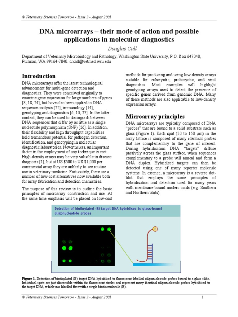 DNA Microarrays - Their Mode of Action and Possible Applications in ...