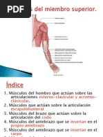 Escala de Lovett | PDF | Músculo esquelético | Contracción muscular