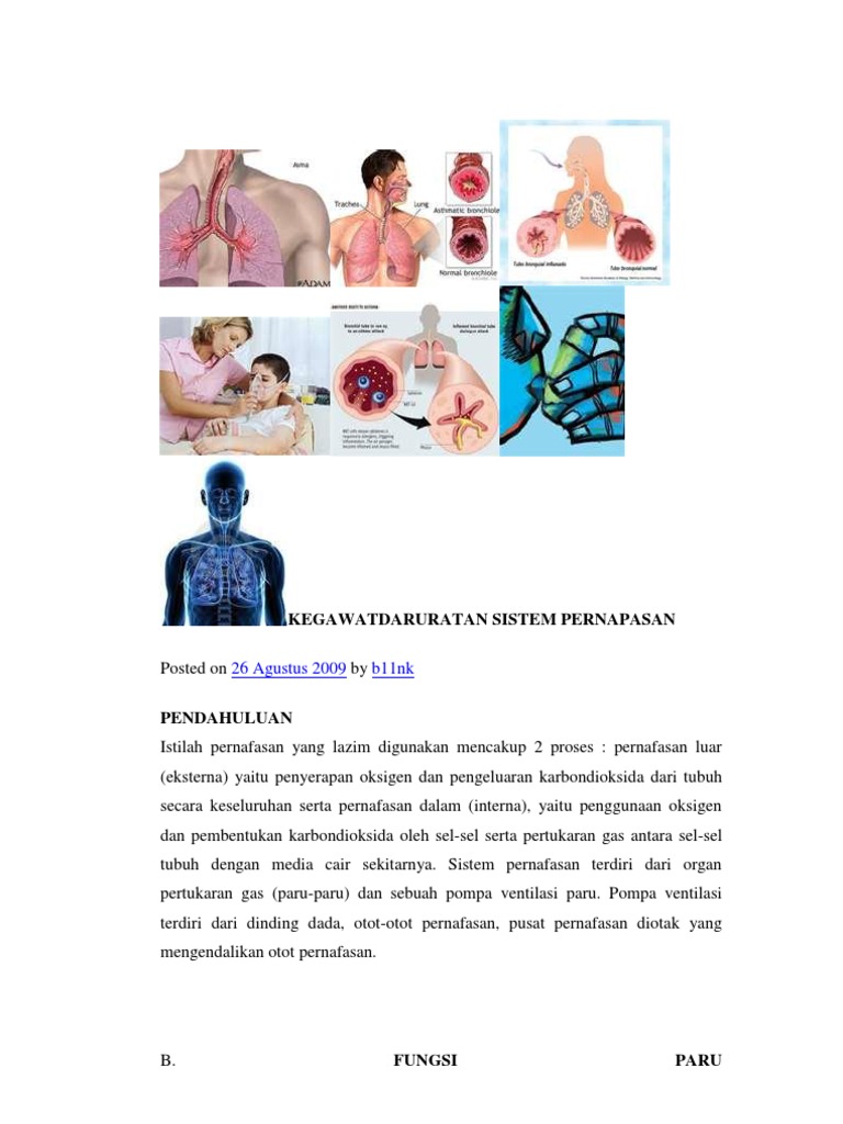 Pathway Asma | PDF | Pengembangan Diri | Kesehatan Holistik