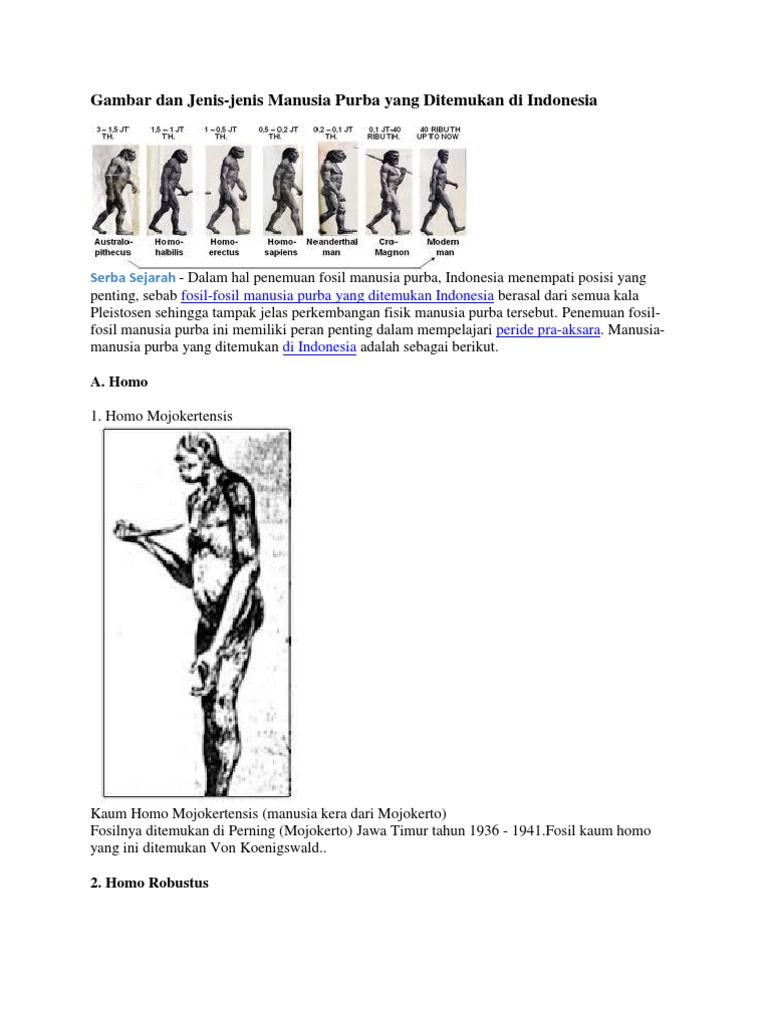 Manusia Purba | PDF